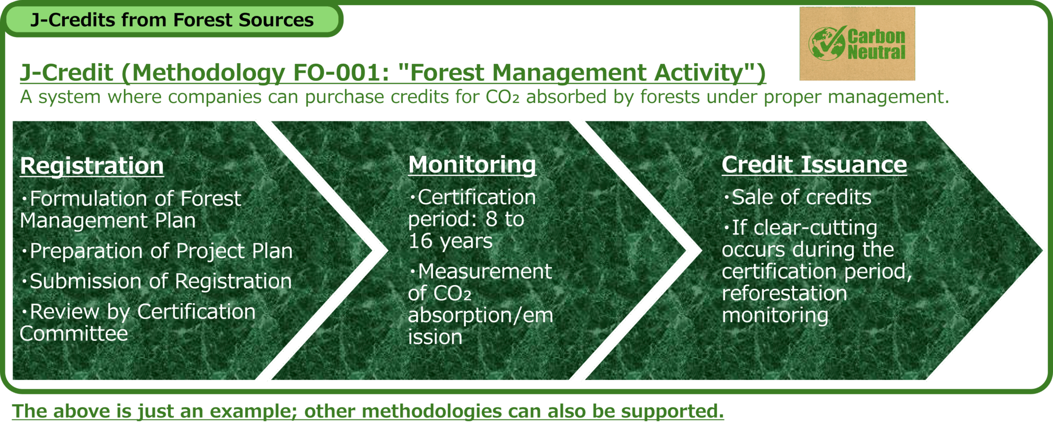 Carbon Credit | DeepForest Technologies