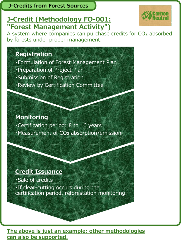 Carbon Credit | DeepForest Technologies