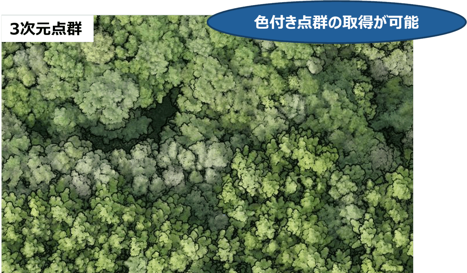 森林DX事業 | DeepForest Technologies