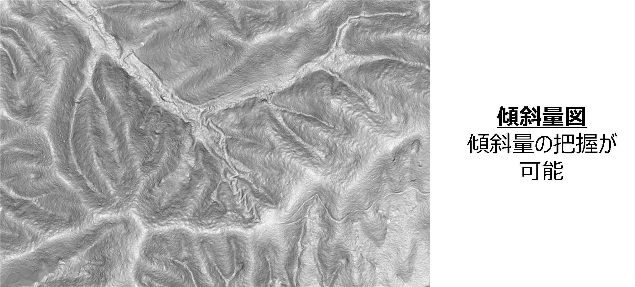 森林DX事業 | DeepForest Technologies