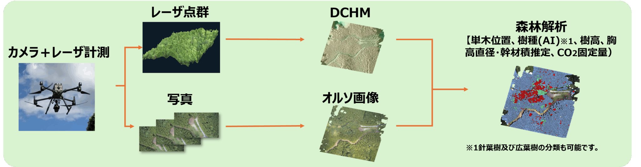 森林DX事業 | DeepForest Technologies