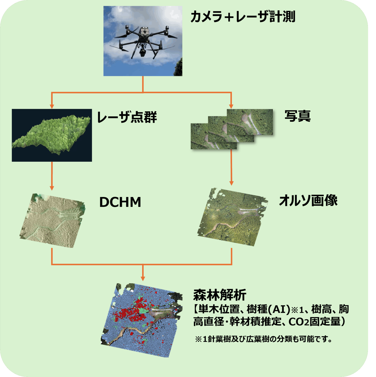 森林DX事業 | DeepForest Technologies