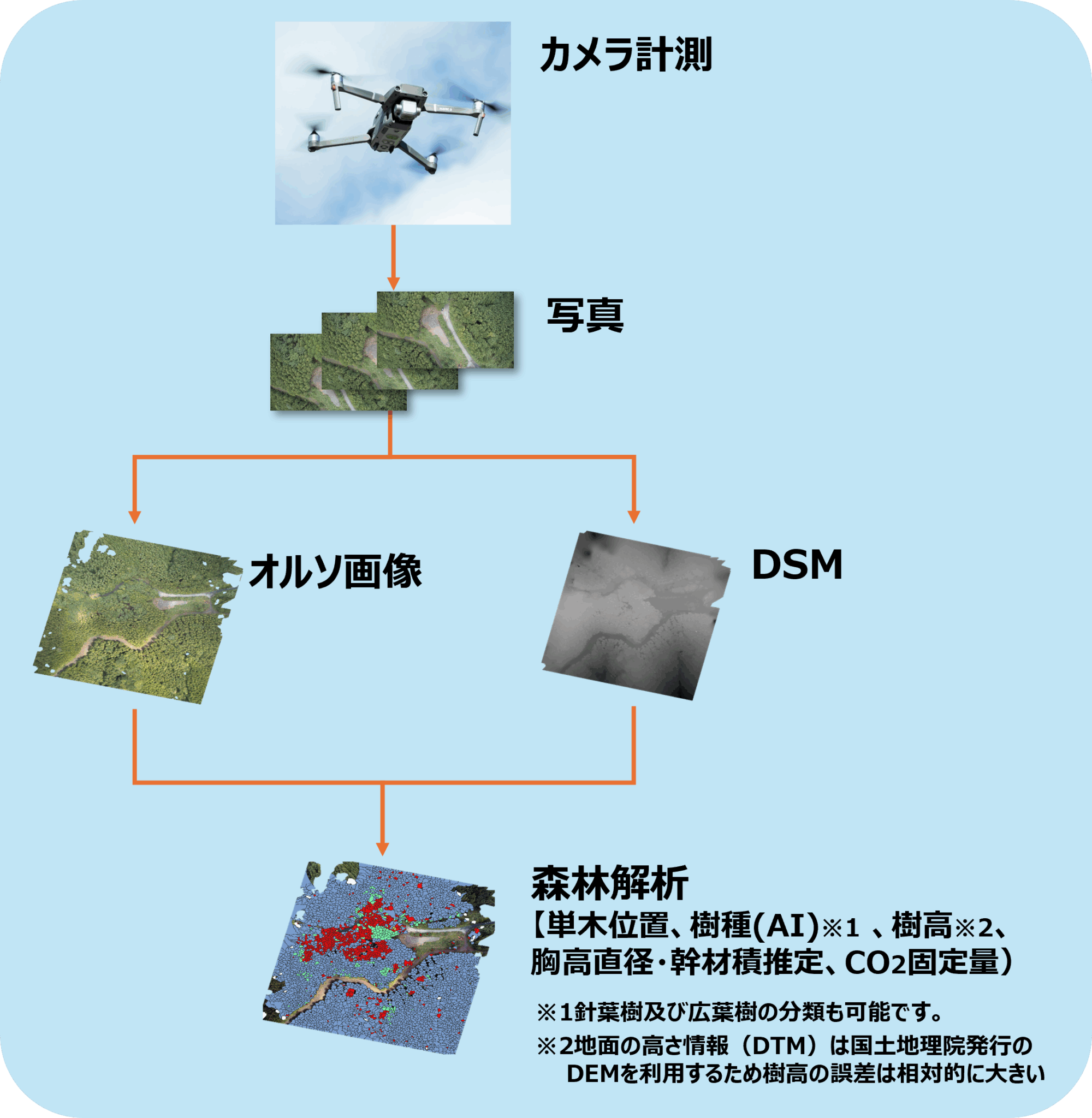 森林DX事業 | DeepForest Technologies